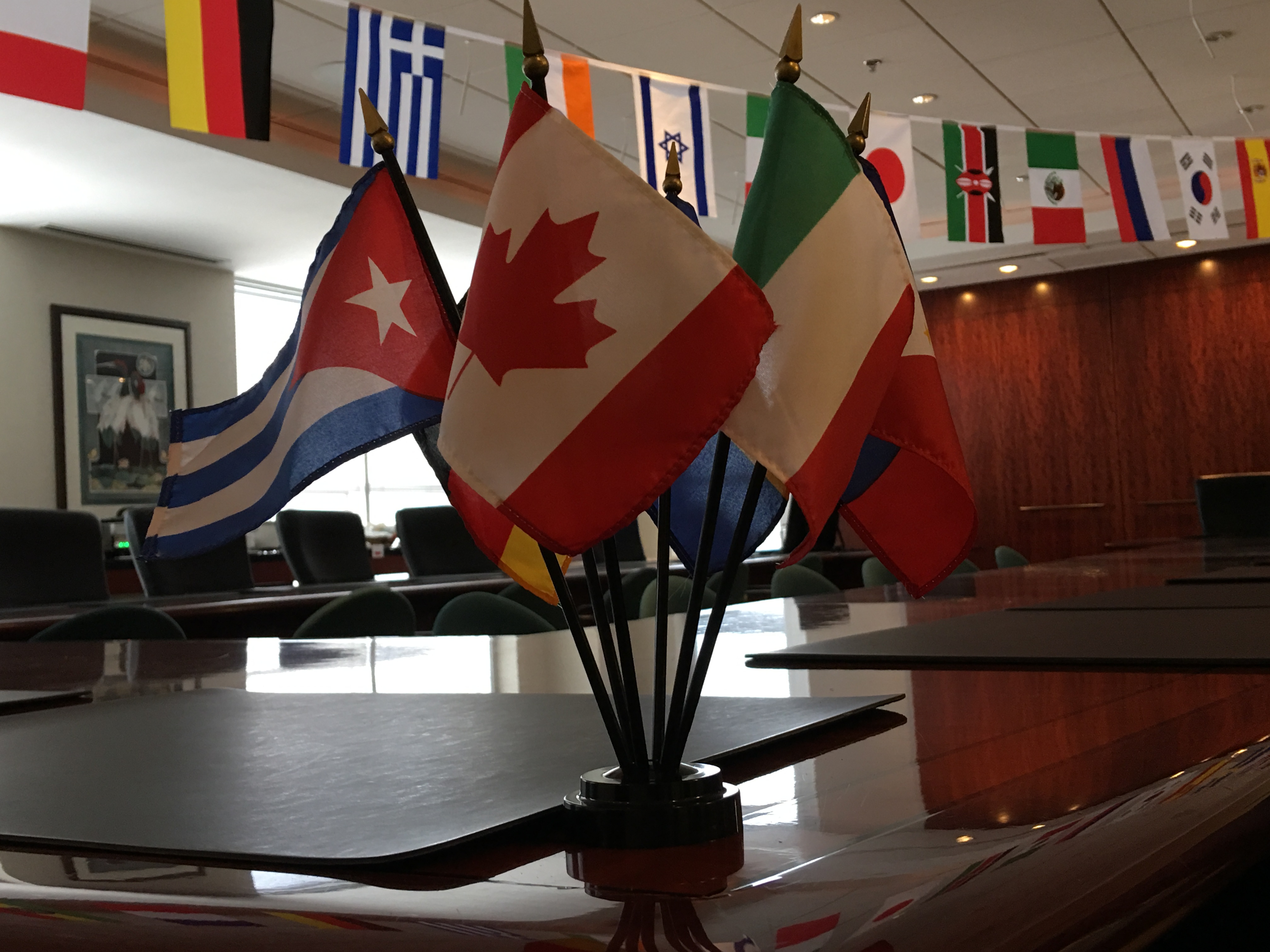 First Annual International Food Festival was a Delicious Success ...