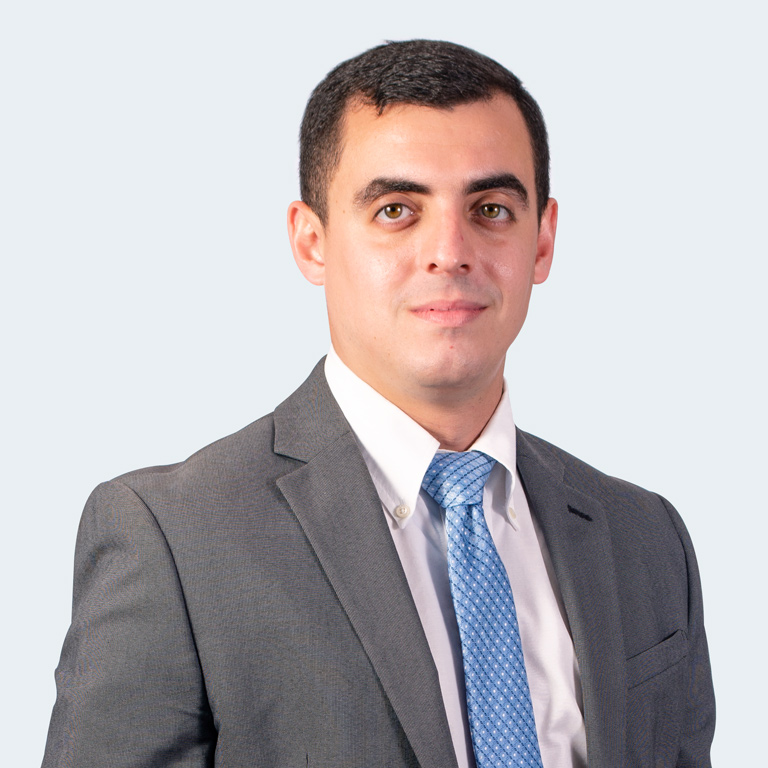 Our People | Business Litigation Lawyers | RumbergerKirk